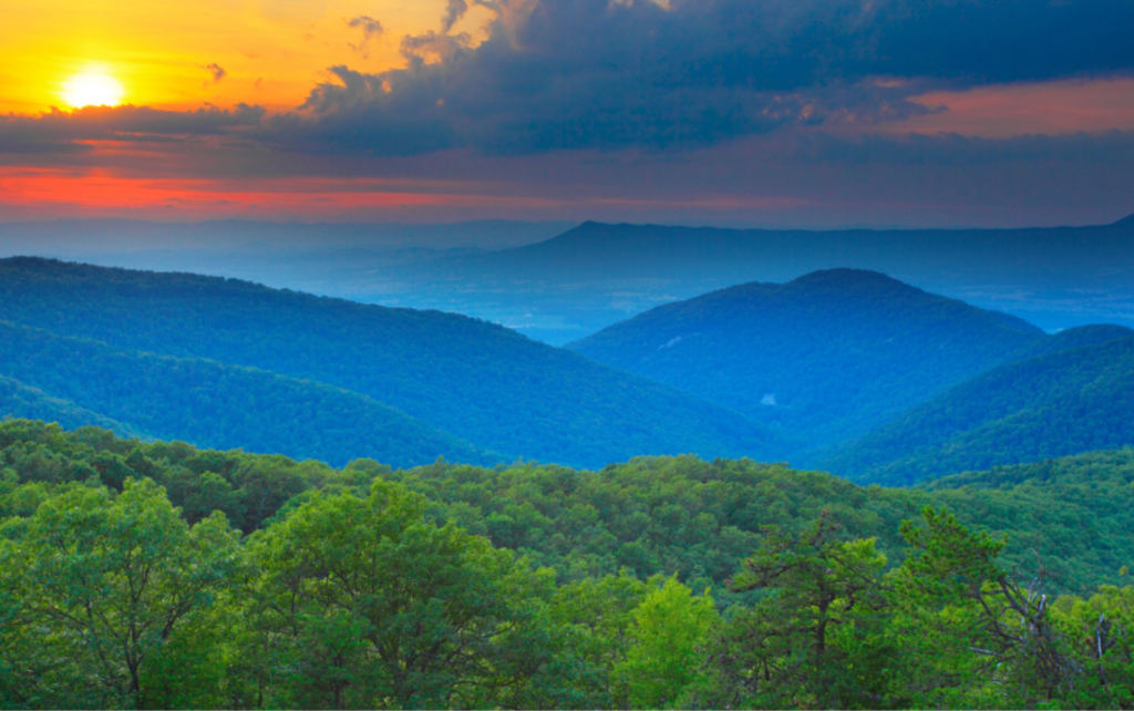 Admissions & Aid | Appalachian College of Pharmacy